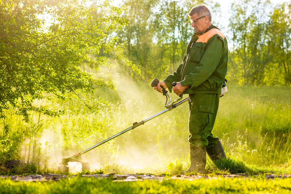 Prix d'un débroussaillage : vrais tarifs 2024 - monEquerre.fr