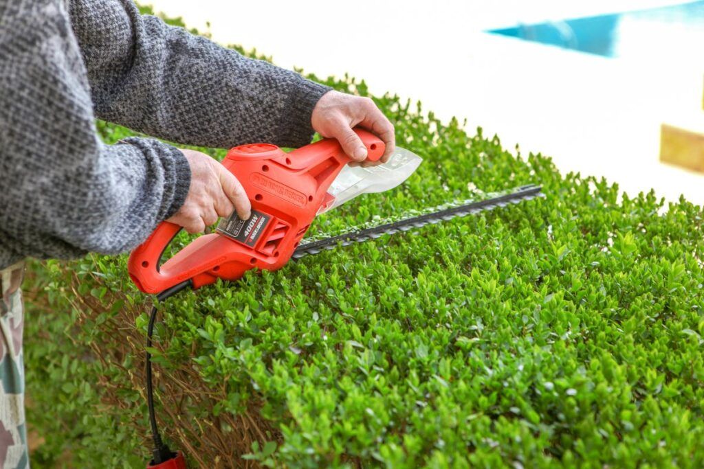 Portail papillon ou éventail : tout savoir - monEquerre.fr